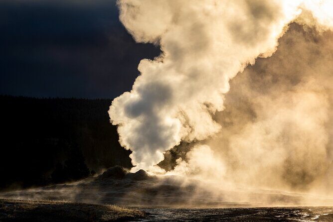 Predators of the Wild, Bear and Wolf Watching Adventure - Final Thoughts