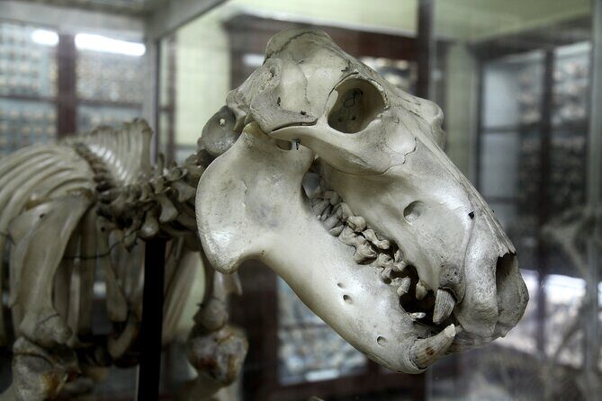 Prehistoric Temples and Highlights of the South Full-Day Tour - The Sum Up