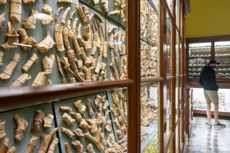 Prehistoric Temples of Malta Tour - Introduction