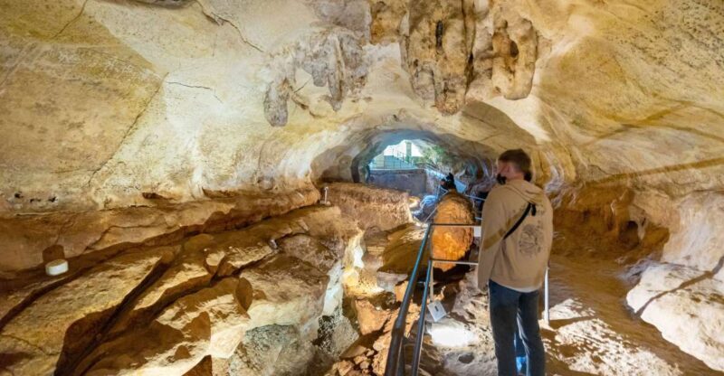 Prehistoric Temples of Malta Tour - The Cave & Museum: Ghar Dalam
