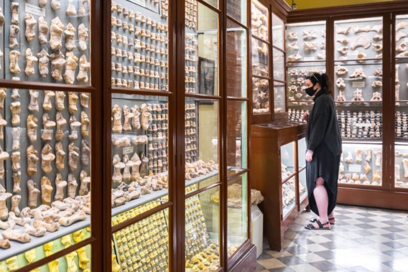 Prehistoric Temples of Malta Tour - The Tour Experience: Logistics and Comfort