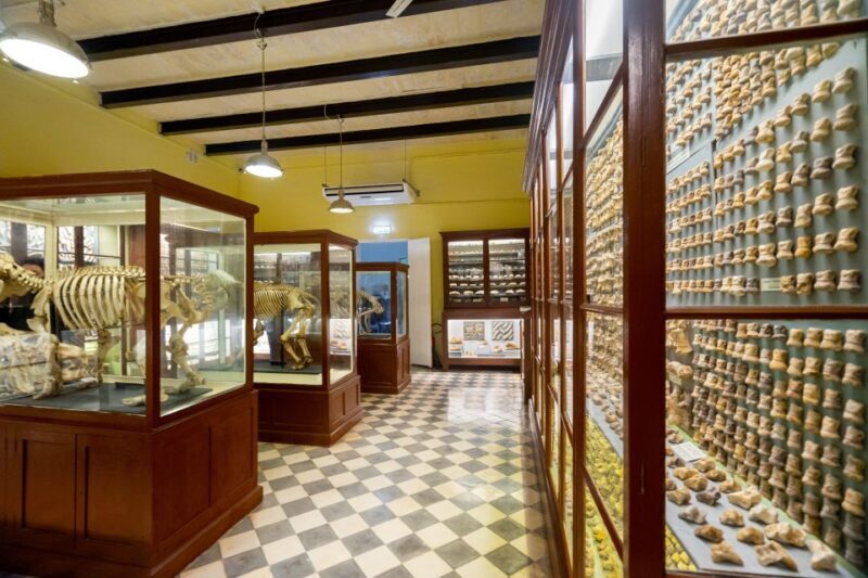 Prehistoric Temples of Malta Tour - Who Is This Tour Best For?