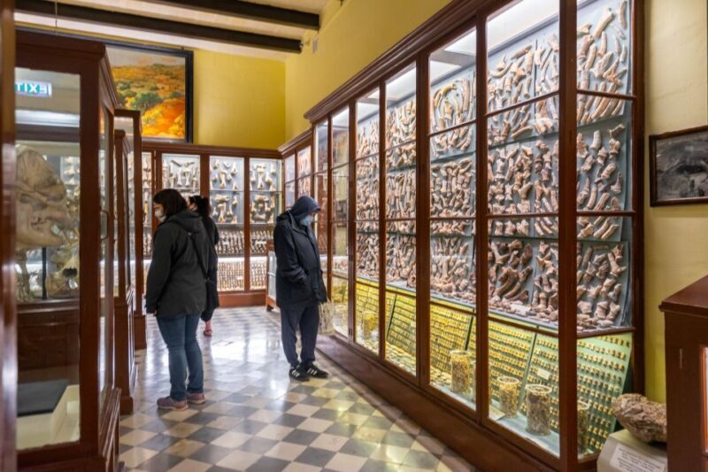 Prehistoric Temples of Malta Tour - FAQs