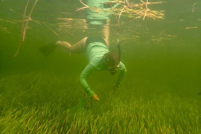 Premier Scalloping Adventure on Florida's Nature Coast - Final Thoughts
