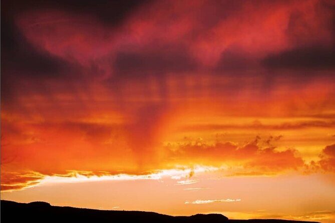 Premier Wildlife Tours in Saguaro National Park - Practical Details You Should Know