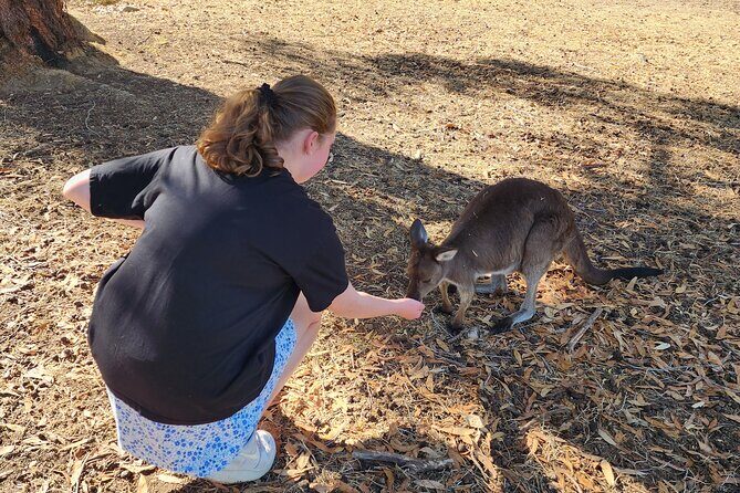 Premium Adelaide Hills Cleland Wildlife and Hahndorf Minibus Tour - FAQs