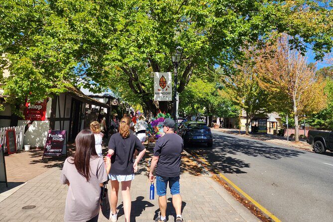Premium Adelaide Hills Full Day Shore Tour Cruise Port Pick-up - The Complete Experience: An In-depth Look