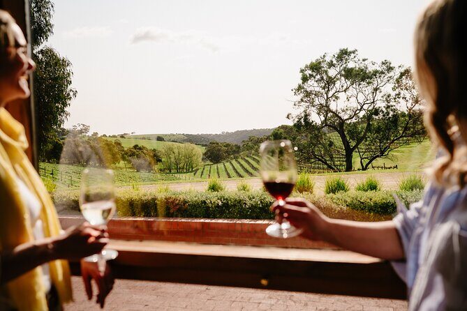 Premium All-Inclusive McLaren Vale Wine and Brew Minibus Tour - Key Points
