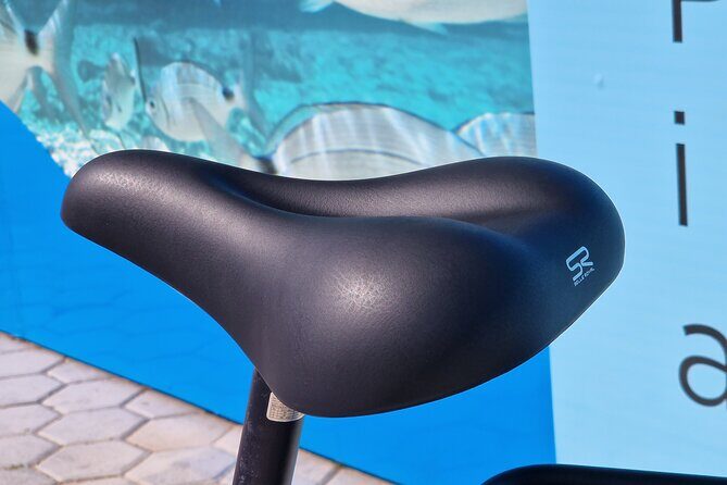 Premium Bike Rental in Barcelona - Why This Rental Offers Great Value