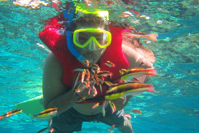 Premium Family Snorkeling Experience - Key Points