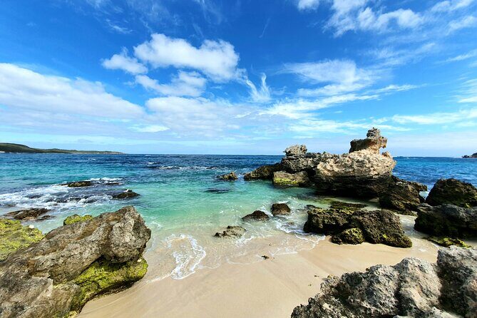 Premium Full Day Tour - An Introduction to the Premium Margaret River Experience