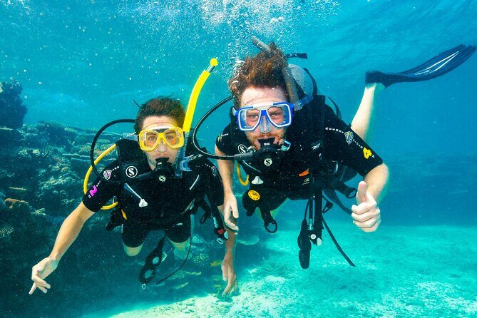 Premium Guided Dive Trip - Outer Great Barrier Reef - Experience the Outer Great Barrier Reef with Scuba IQ’s Premium Guided Dive Trip