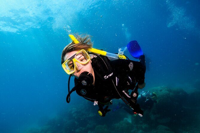 Premium Guided Dive Trip - Outer Great Barrier Reef - Practical Details That Matter