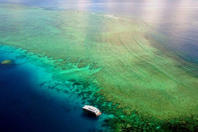 Premium Guided Dive Trip - Outer Great Barrier Reef - Authentic Experiences from Reviewers