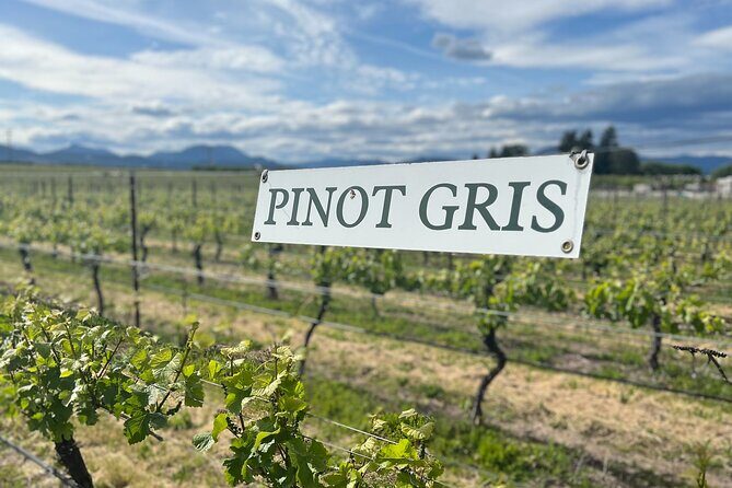 Premium Hood River Wine Tours - Final Thoughts: Is It Worth It?