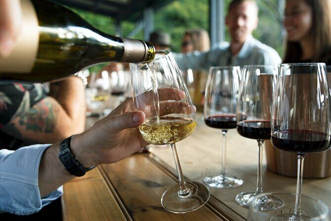 Premium Hunter Valley Wine Tour with Lunch from Sydney - Who Will Love This Tour?