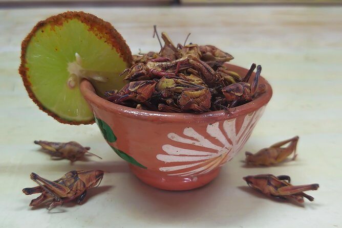 Premium Mezcal Tasting and Class - The Value of This Experience