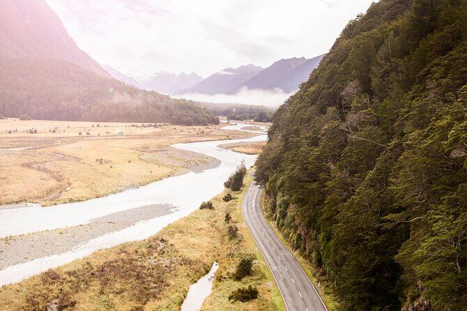Premium Milford Sound Cruise & Milford Track Walk From Te Anau - An In-Depth Look at the Experience