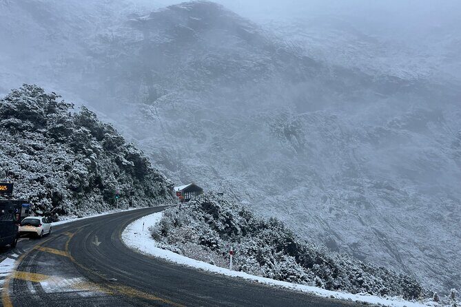 Premium Milford Sound Small Group Tour & Cruise from Queenstown - Who Is This Tour Best For?