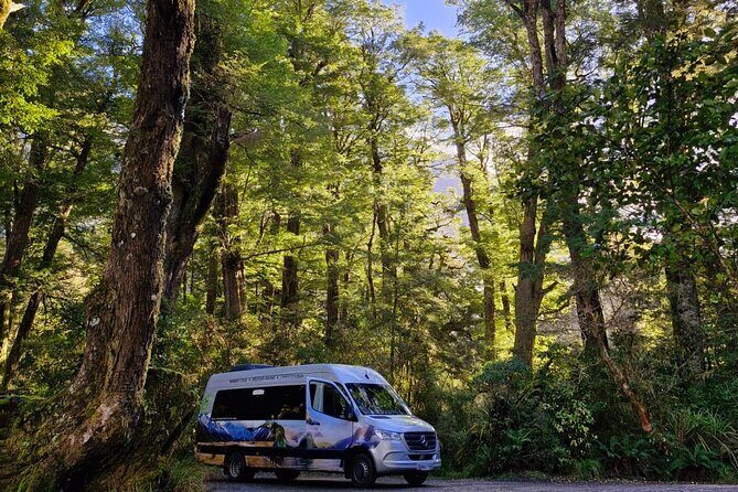 Premium Milford Sound Small Group Tour & Cruise from Queenstown - The Sum Up