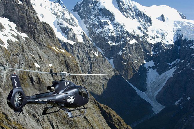Premium Milford Sound Tour Including Cruise, Flight & Lunch - Who Will Love This Tour?