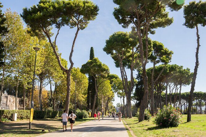 Premium Minivan Trip from Rome: Pompeii Tour & Lunch in Sorrento - Practical Considerations and Overall Value