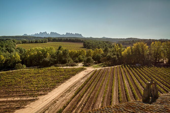 Premium Montserrat & Wine Full Day Tour from Barcelona - Authentic Experiences That Feel Special