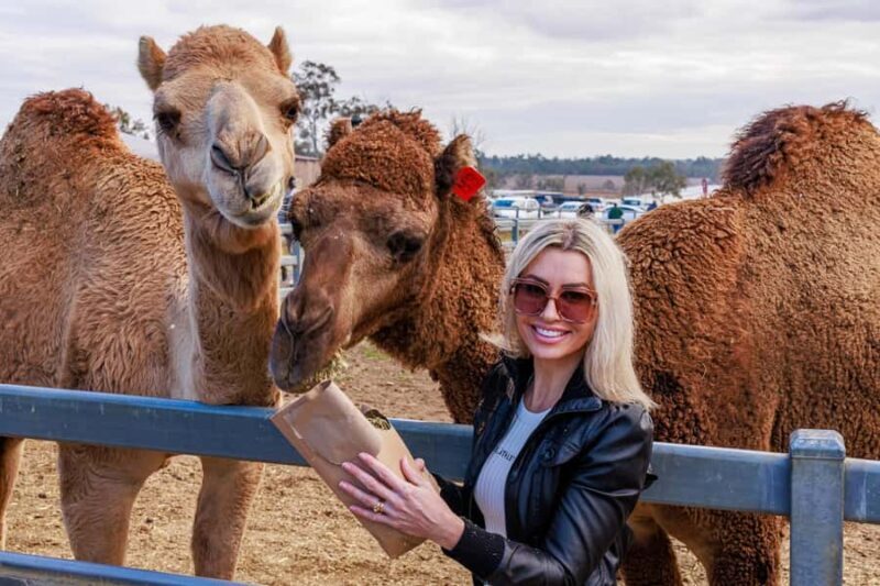 Premium Paddock to Plate Experience - Culinary Delights: A Gourmet Lunch with a Twist