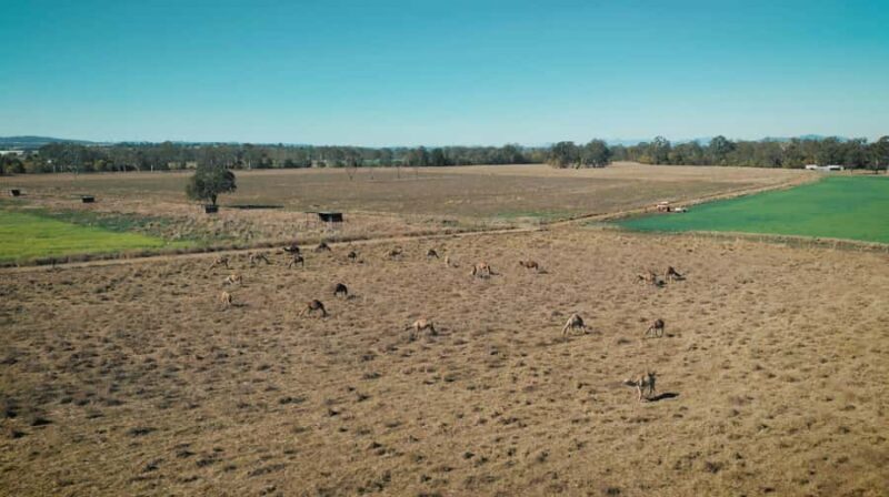 Premium Paddock to Plate Experience - Who Is This Tour For?