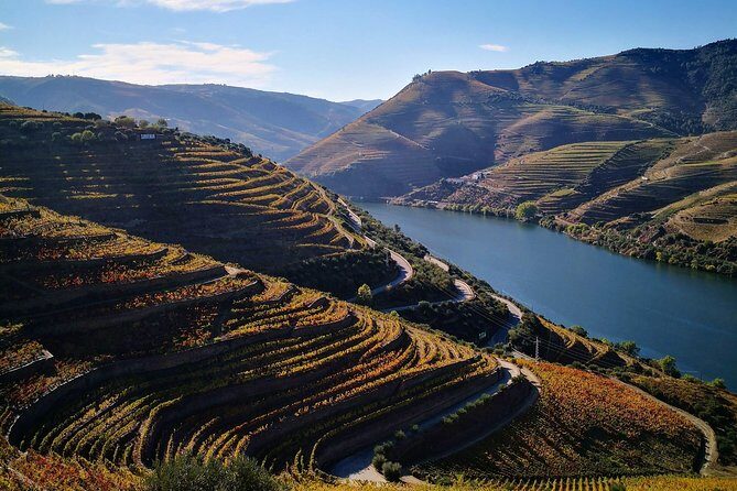 Premium Private Douro Tour: 3 Wineries with Tastings & Lunch - Key Points