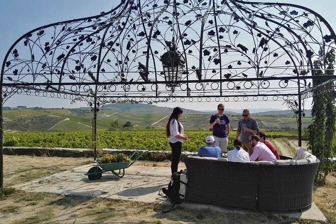 Premium Private Douro Tour: 3 Wineries with Tastings & Lunch - Value and Practicality