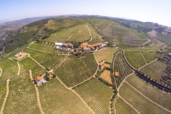 Premium Private Douro Tour: 3 Wineries with Tastings & Lunch - FAQ