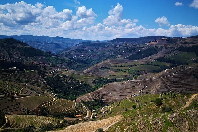 Premium Private Douro Tour: 3 Wineries with Tastings & Lunch - Final Thoughts