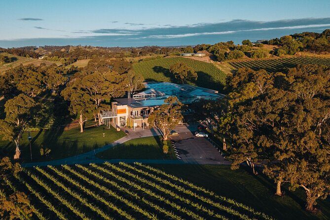 Premium Private Winery Tour: Customizable Experience - The Sum Up