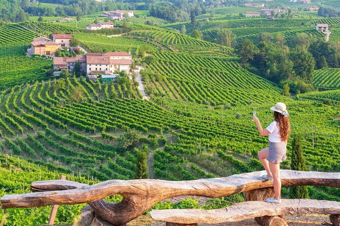 Premium Prosecco Hills Winery Tour with Prosecco Tastings & Food - Key Points