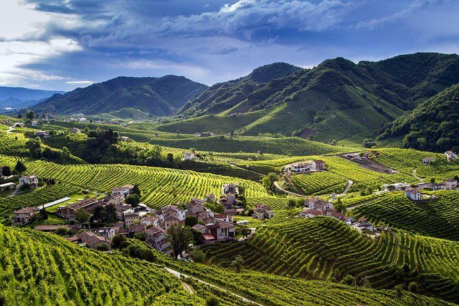 Premium Prosecco Hills Winery Tour with Prosecco Tastings & Food - An In-Depth Look at the Prosecco Hills Winery Tour