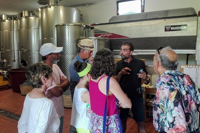 Premium Prosecco Hills Winery Tour with Prosecco Tastings & Food - Final Thoughts