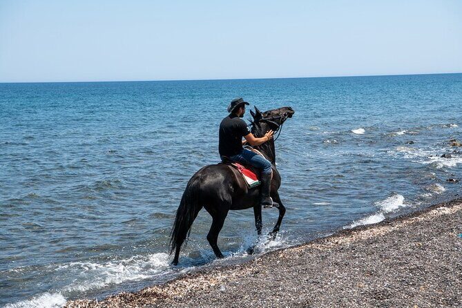Premium Secluded Black Beach Horseback Riding Tour in Santorini - Who Will Love This Tour?