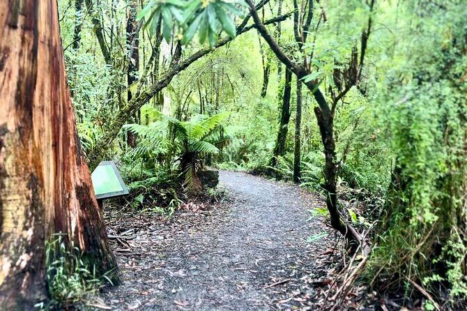 Premium Small Group Great Ocean Road & Wildlife with Lunch - FAQs