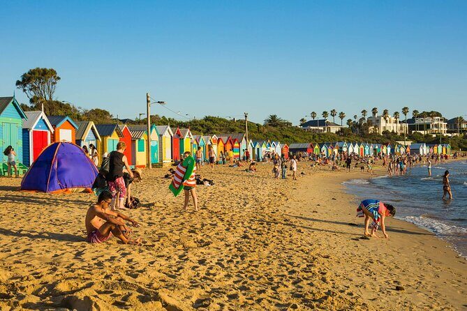 Premium Small Group Philip Island eco Tour - The Itinerary in Detail: What to Expect