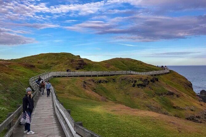 Premium Small Group Philip Island eco Tour - The Sum Up: Who Is This Tour Perfect For?