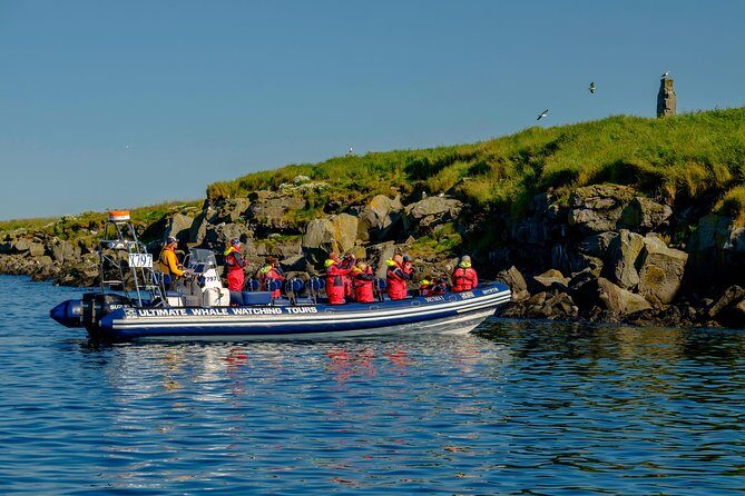Premium Small-Group Puffin & Bird Watching tour from Reykjavík - A Few Considerations