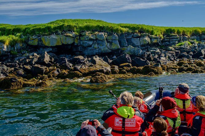 Premium Small-Group Puffin & Bird Watching tour from Reykjavík - FAQs