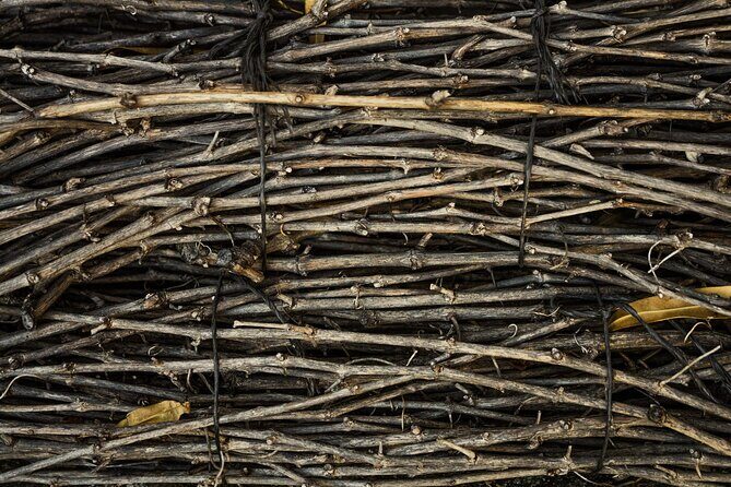 Premium Small Group Rioja Uncorked Tour from San Sebastian - Who Will Love This Tour?