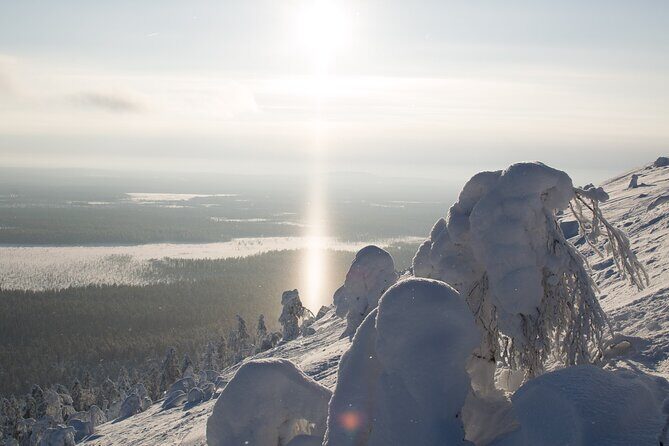 Premium Snowshoeing in Pyhä-Luosto National Park - Analyzing the Value