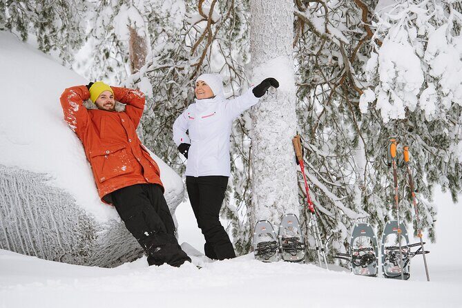 Premium Snowshoeing in Pyhä-Luosto National Park - Who Will Love This Tour?
