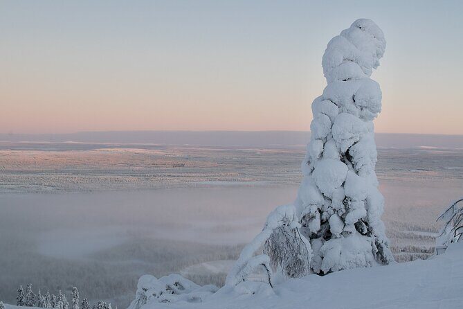 Premium Snowshoeing in Pyhä-Luosto National Park - The Bottom Line