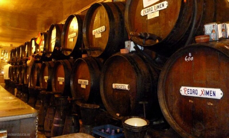 PREMIUM TAPAS TOUR: Paella, Market Tastings, and Winery - Practical Details and Tips