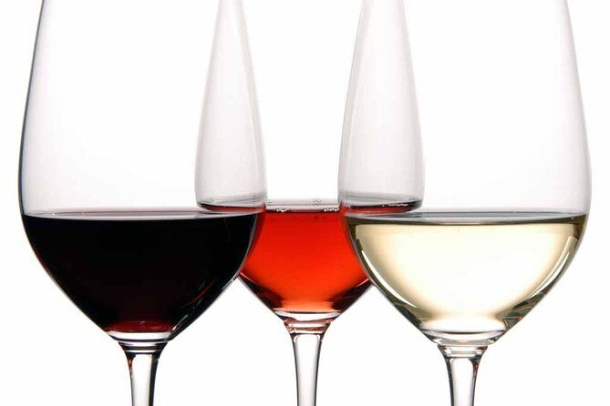 PREMIUM TAPAS TOUR: Tapas, Paella and Winery - In Closing