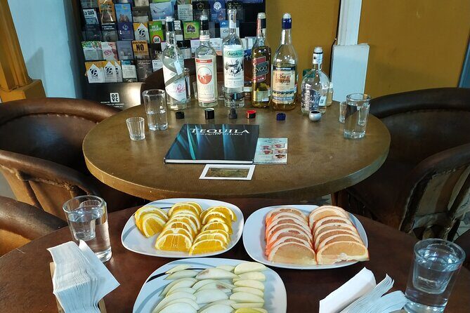 Premium Tequila Tasting in Guadalajara - Key Points